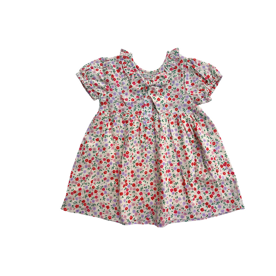 Lilah Baby Girl Embroidered Floral New Born to Toddler Shirred Dress ...